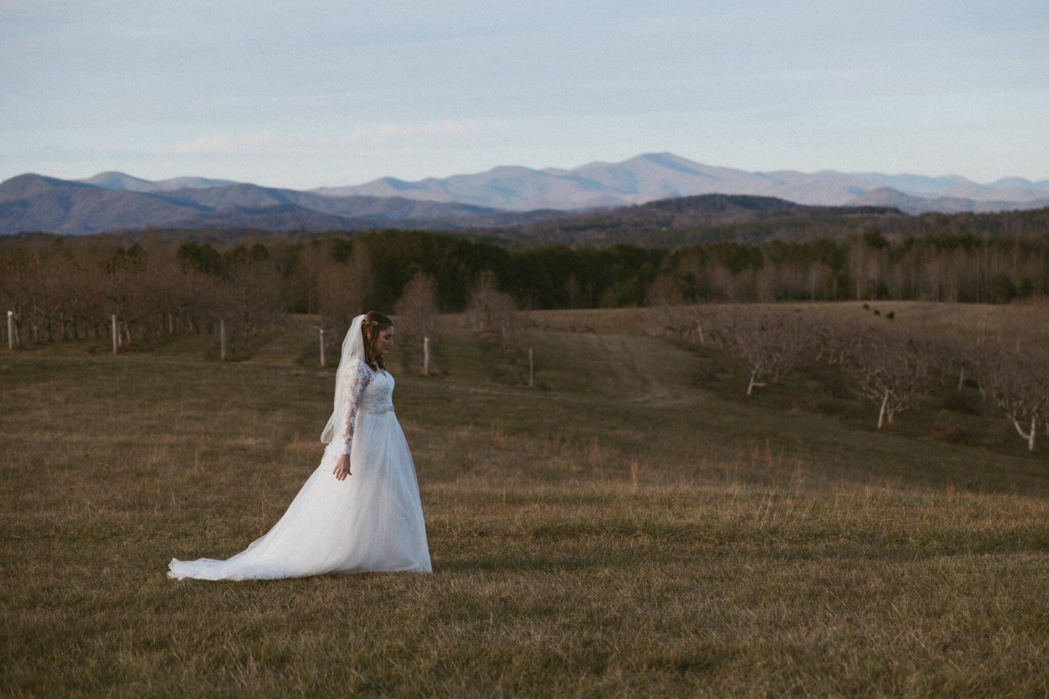 Complete Guide to South Carolina Marriage License + Laws